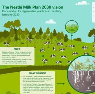 The Nestle Milk Plan 2030 vision | NESCAFÉ UK & IE