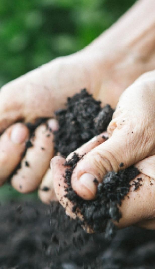 The Nescafé Carbon Reduction Project | NESCAFÉ | UK & IE