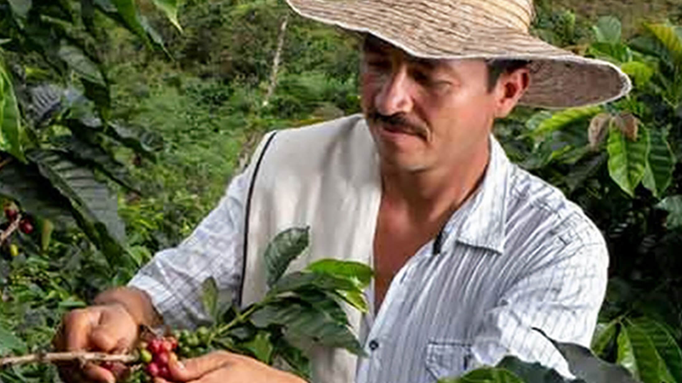 Nescafé Coffee - Most Loved Coffee Brands by Nestlé | Nescafé IN