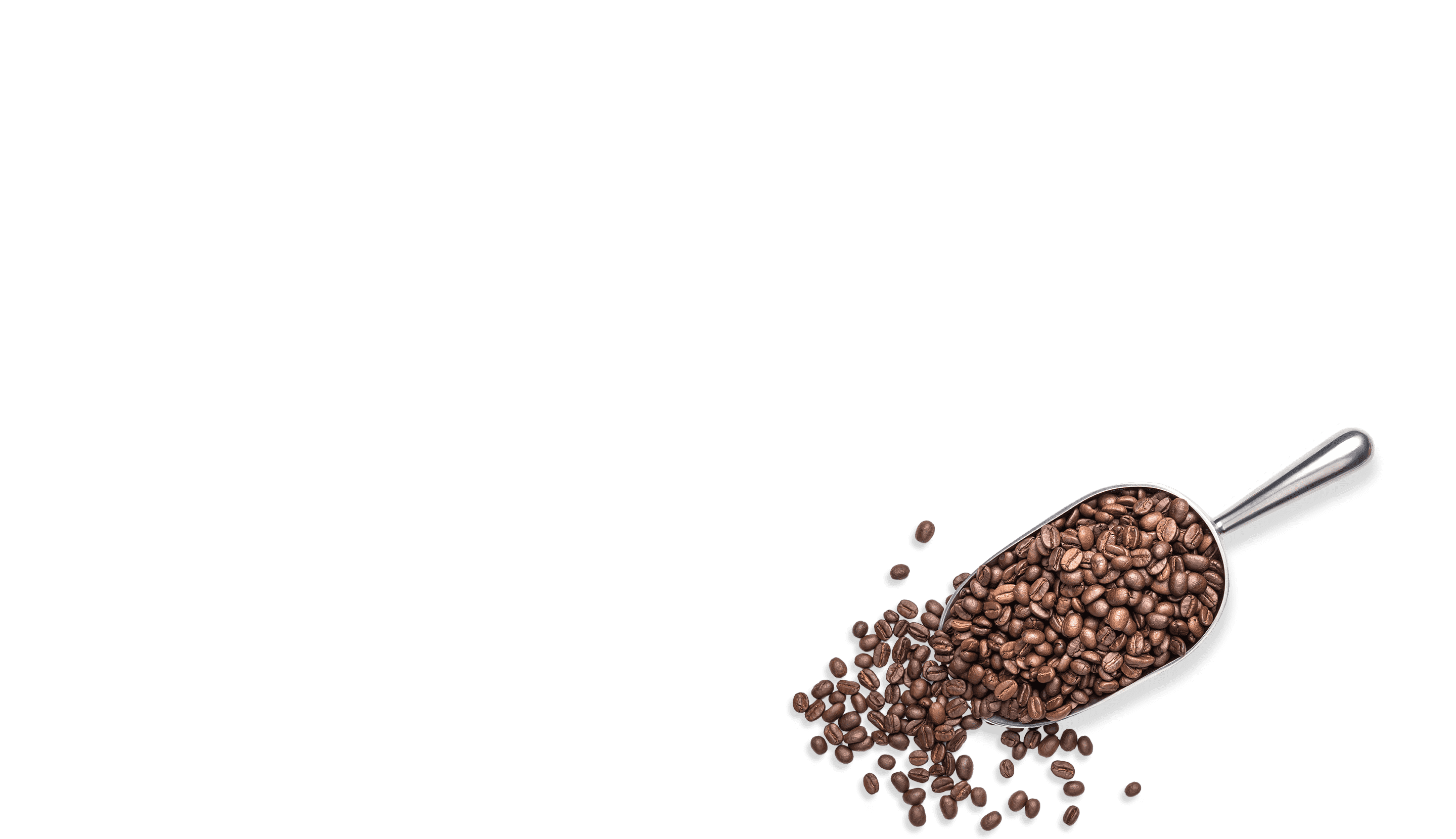 Inside the Coffee Roastery | Nescafé MENA