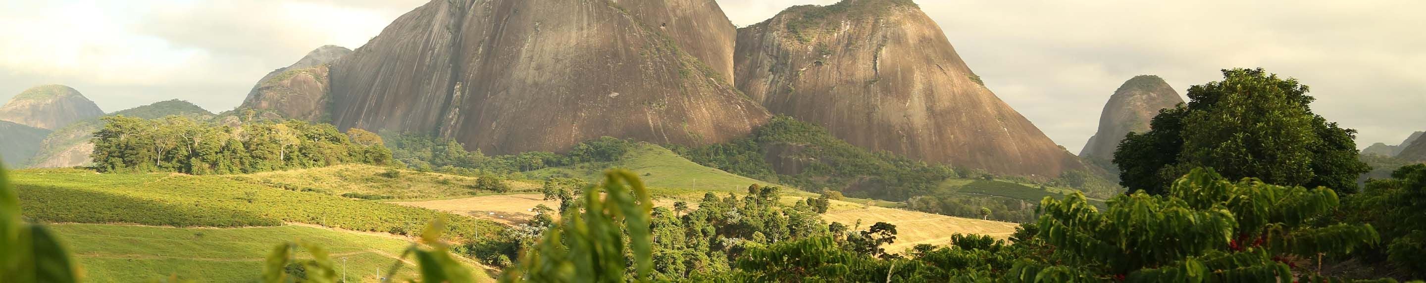 What is drip coffee? | NESCAFÉ® Philippines