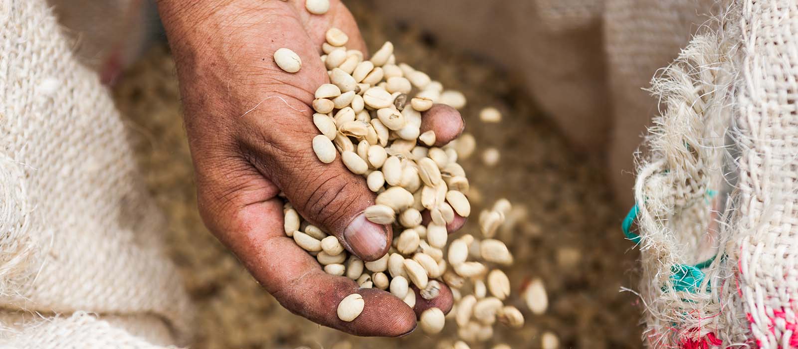 Sustainability from coffee planting to packaging | Home