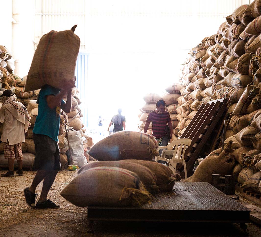 Understanding Coffee – Single Origin Coffee | Nescafé ZA